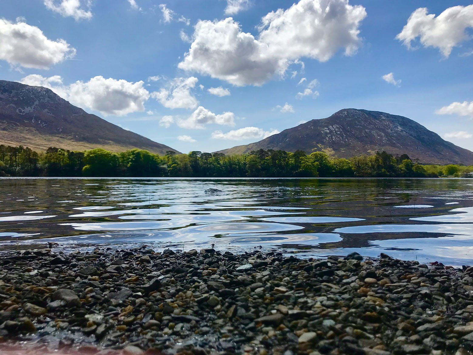 Exploring the Majestic Connemara National Park in County Galway ...